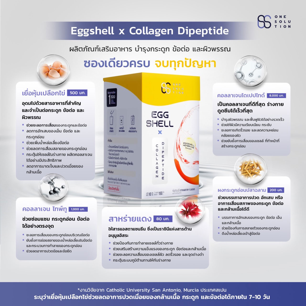 Accessories - Others - EGG SHELL X COLLAGEN DIPEPTIDE (ESX-1 ...